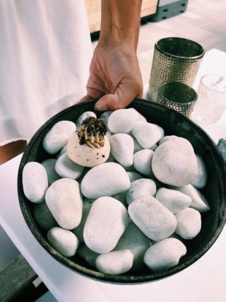 Atelier Maple, culinaire ambitie in oase van rust (Antwerpen) - Puredeluxe